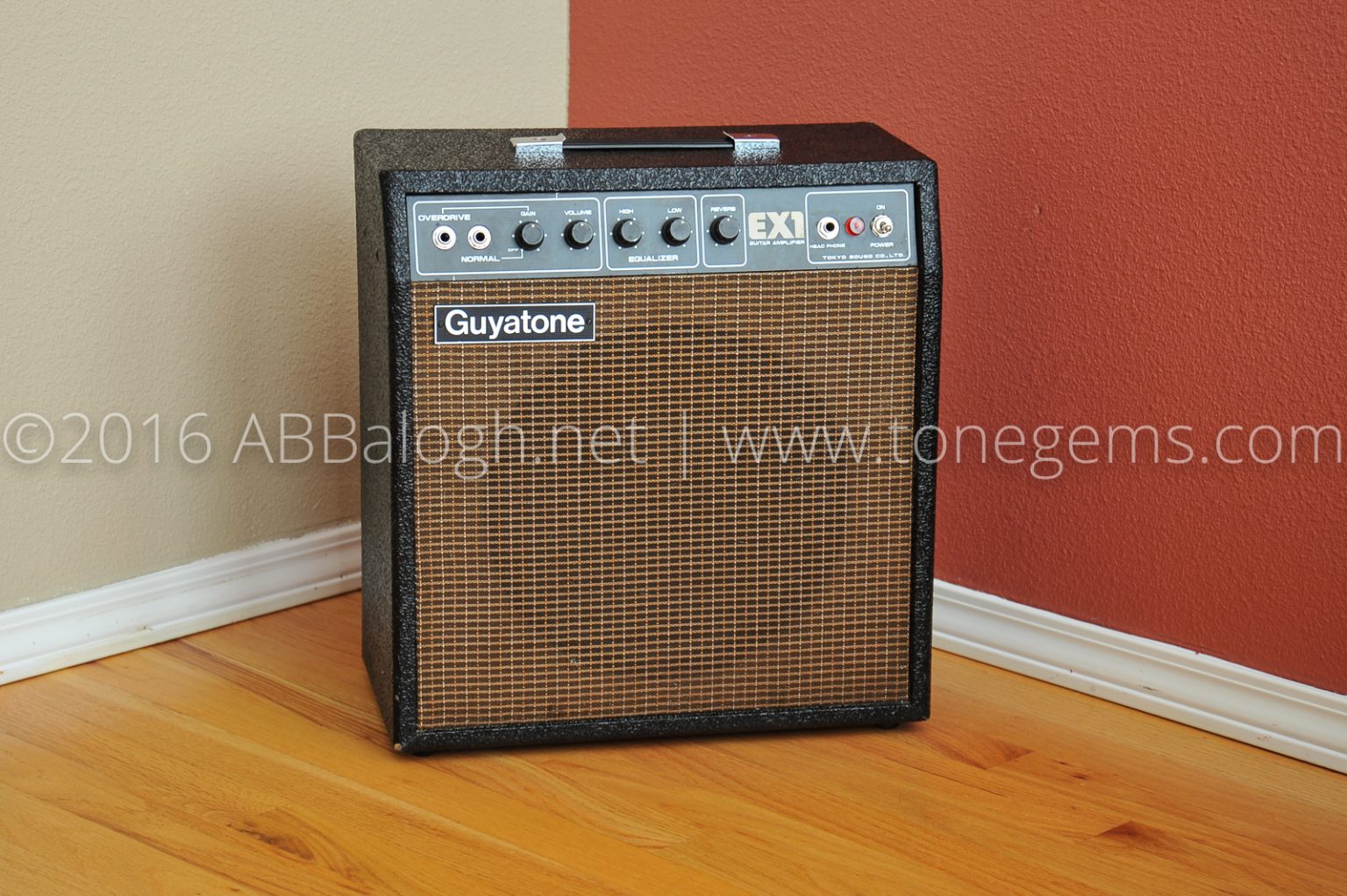 Silvertone 1421 (Sears 10 XL) Guitar Tube Amp - Tone Gems